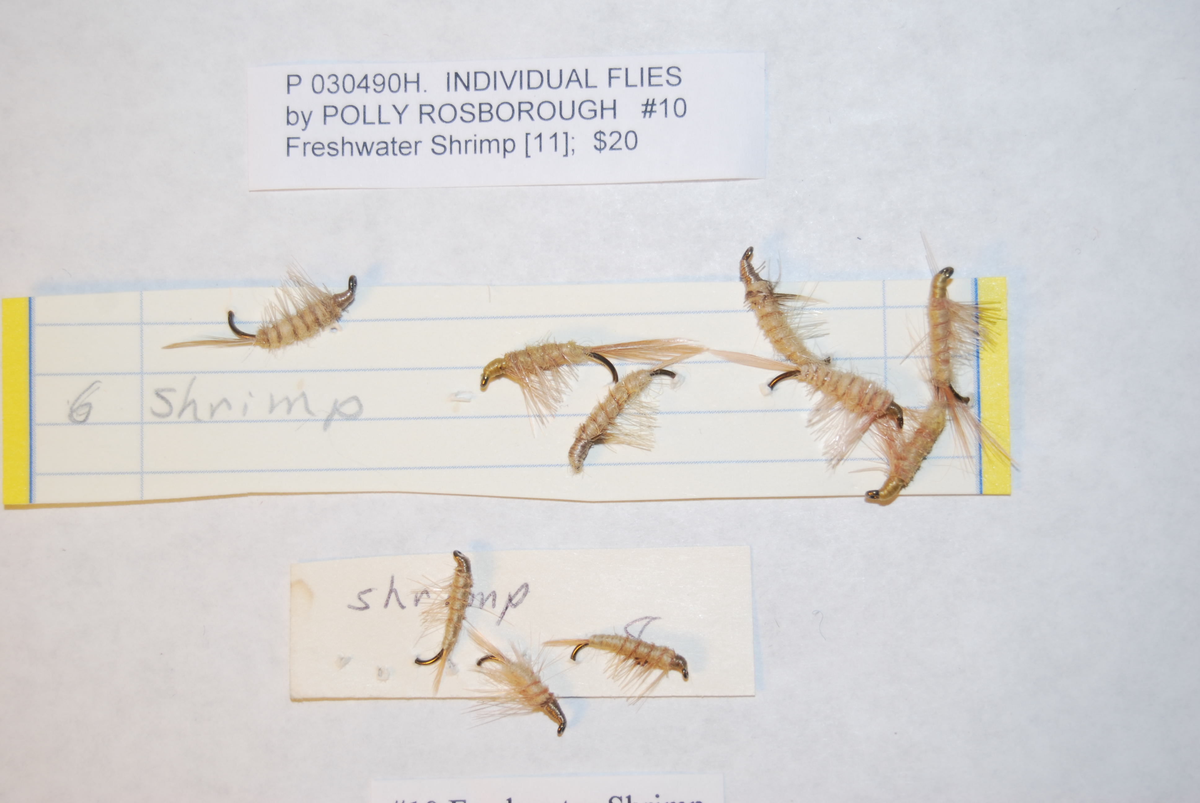 #10 & #8 Freshwater Shrimp. SOLD