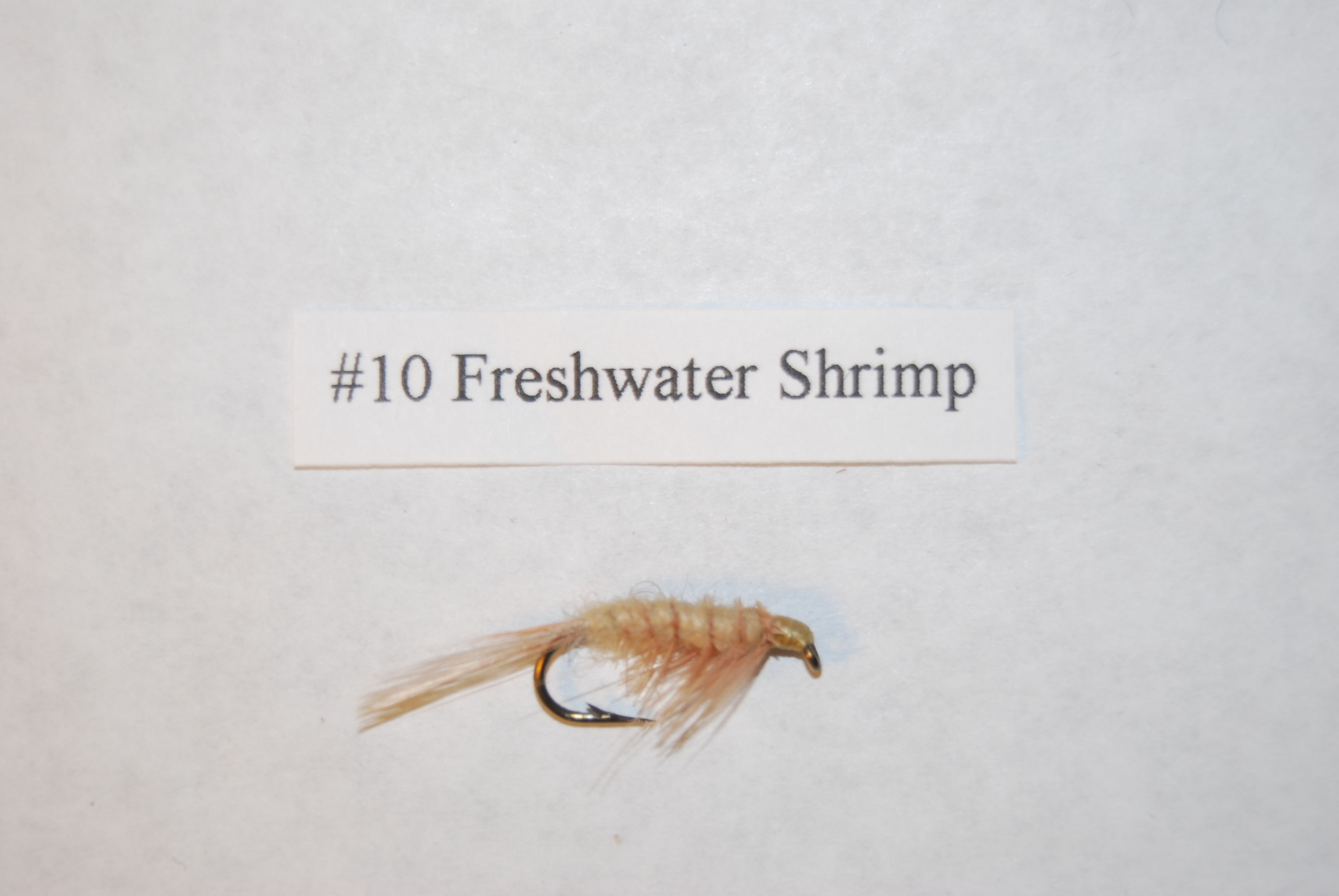 #10 & #8 Freshwater Shrimp. SOLD